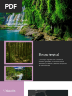 Ecosistemas Principales de República Dominicana - Tipos ...