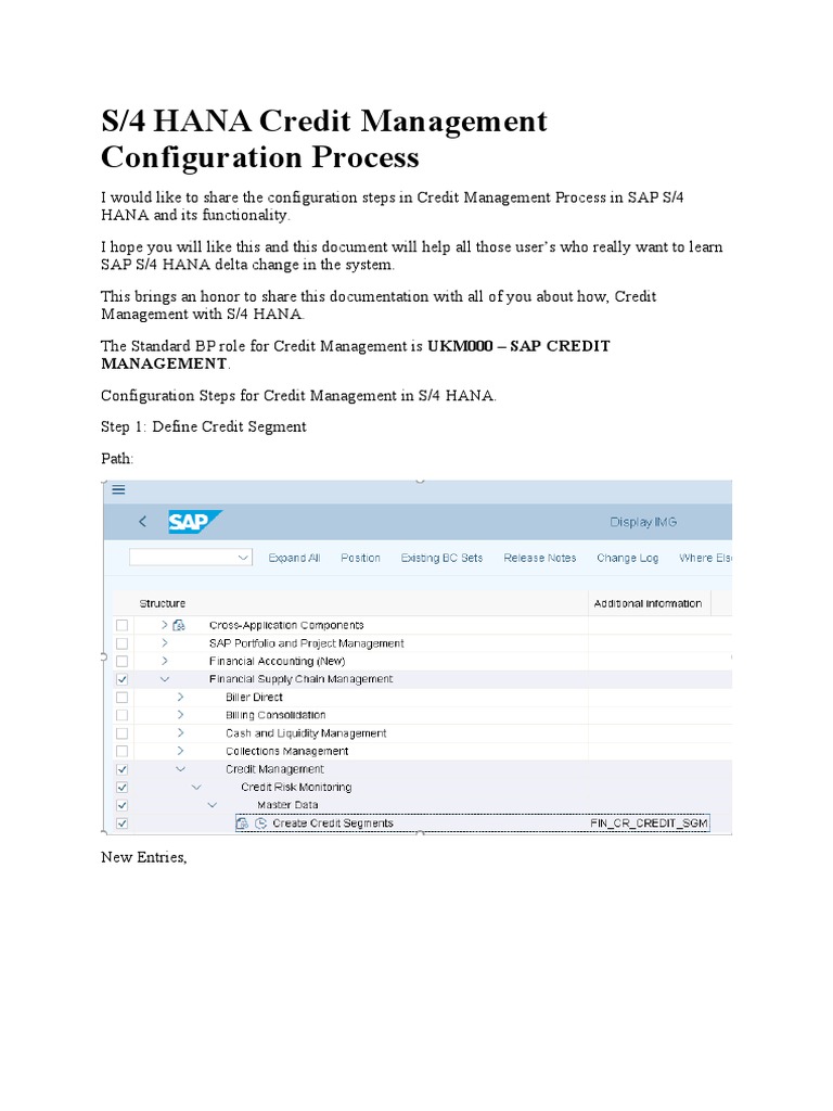 S4 HANA Credit Management Configuration Process v2 | PDF | Software ...