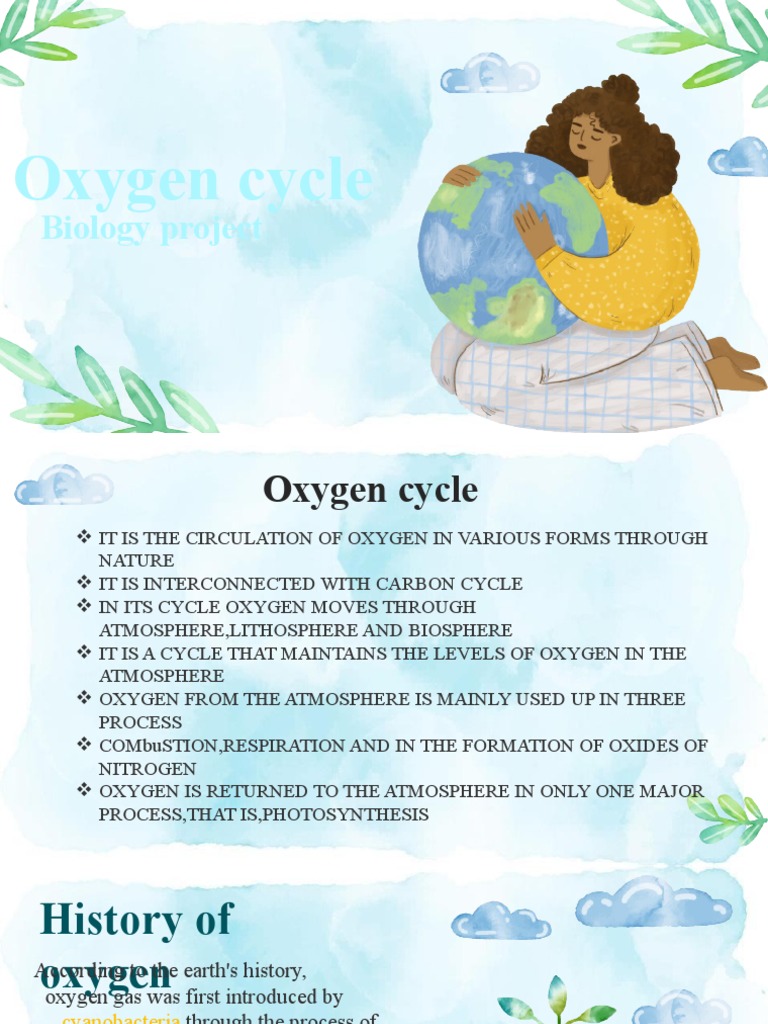Oxygen Cycle: Biology Project | PDF