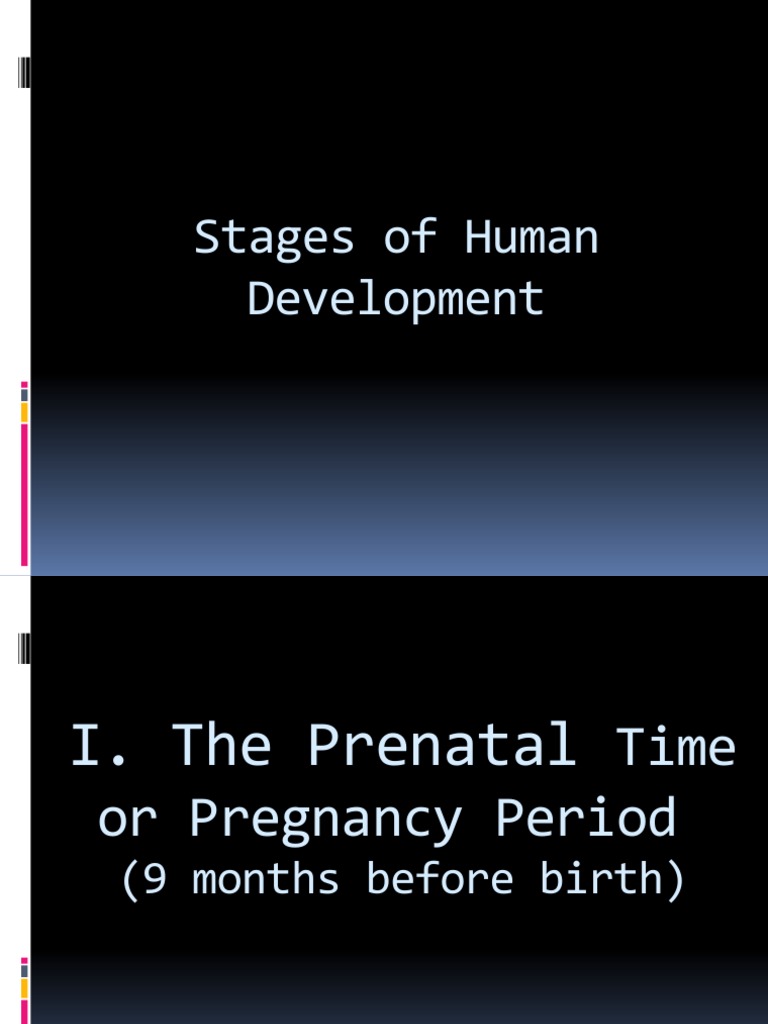 2 - Stages of Man's Growth | PDF | Adolescence | Prenatal Development