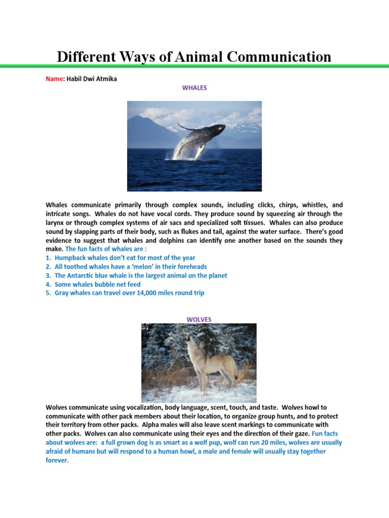 Different Ways of Animal Communication | PDF