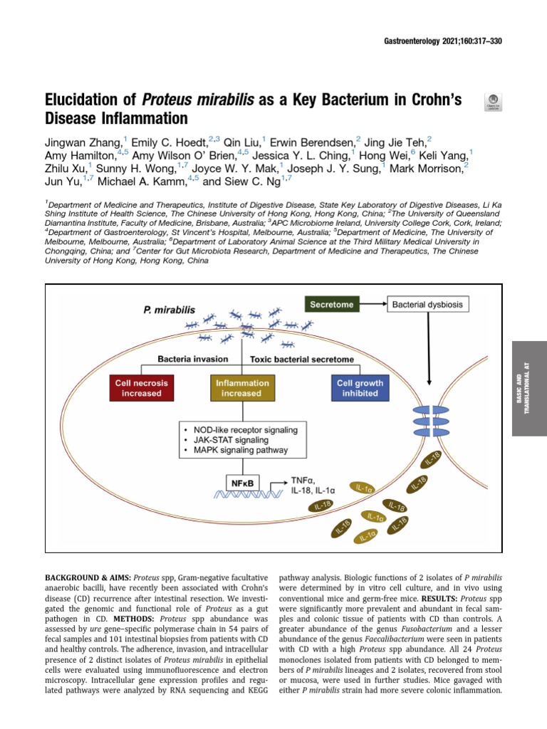 Proteus M | PDF | Gene Expression | Escherichia Coli