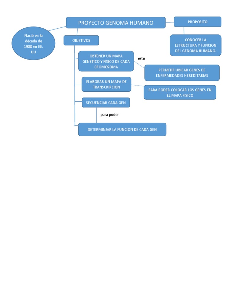 Mapa Conceptual Proyecto Genoma Humano Mapa Conceptual en Word | PDF