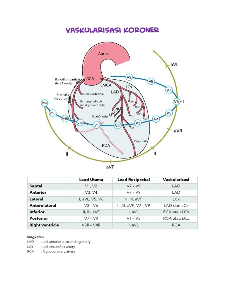Gangguan Koroner Pada EKG | PDF