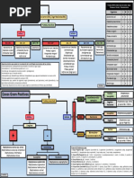 LA ESCALA DE McFARLAND | PDF | Las bacterias | Ciencias fisicas