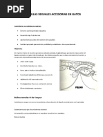 Protocolo de Tinción Diff-Quik en Citología | PDF | Tinción | Biología ...