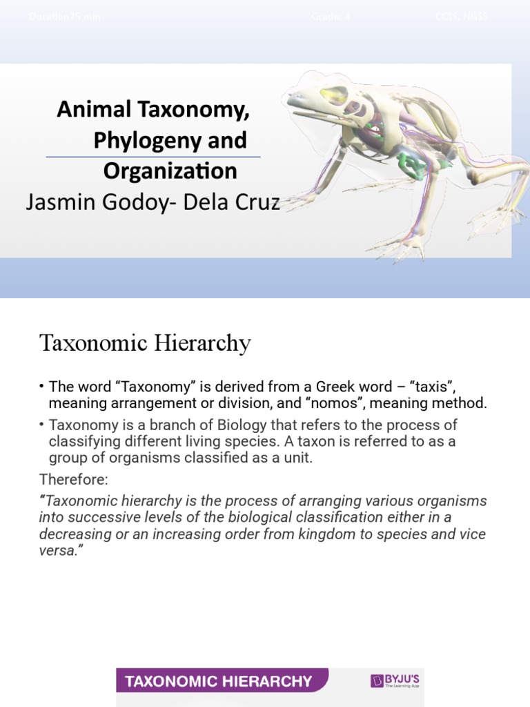 Animal Taxonomy, Phylogeny and Organization: Duration75 Min Grade: 4 ...