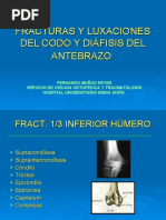 Fracturas Del Codo, Apofisis Coronoides, Troclea | PDF | Codo ...