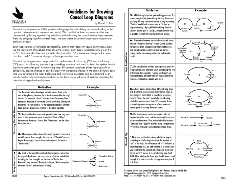 PG03E Guidelines For Drawing Causal Loop Diagrams | PDF | Causality ...