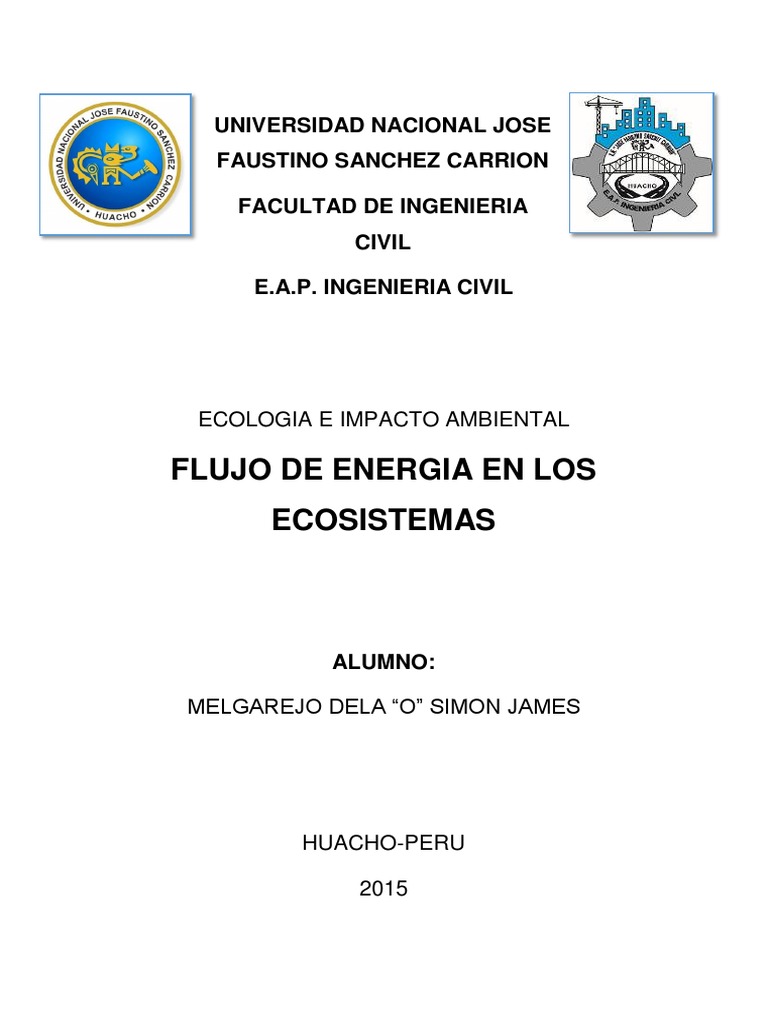 Flujo de Energia en Los Ecosistemas | PDF | Red alimentaria | Ecosistema