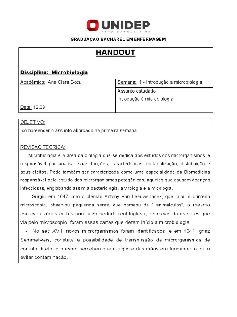 HANDOUT Modelo | PDF