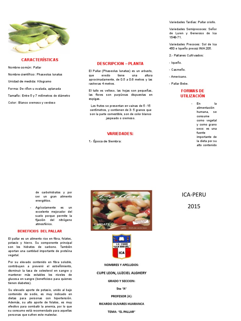 El Pallar | PDF | Legumbre | Nutrición