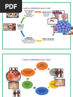 Cadena Epidemiologica - Cólera | PDF