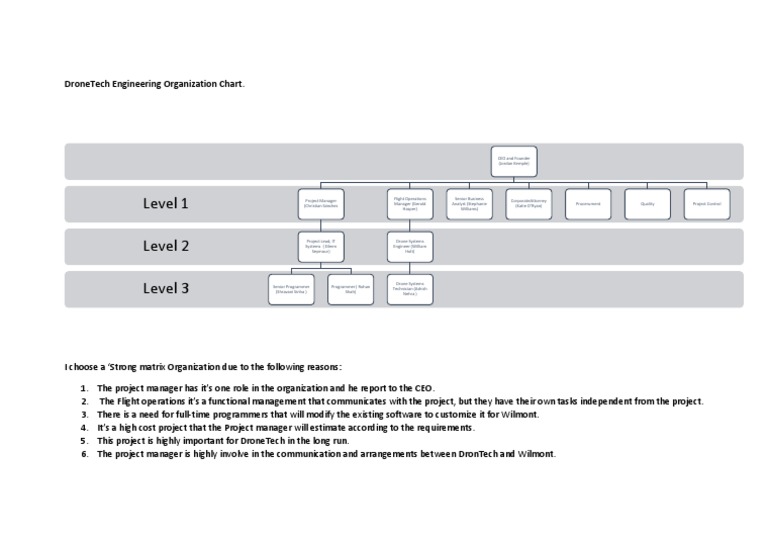 Drone Tech's Organizational Chart | PDF | Computing | Information Technology Management