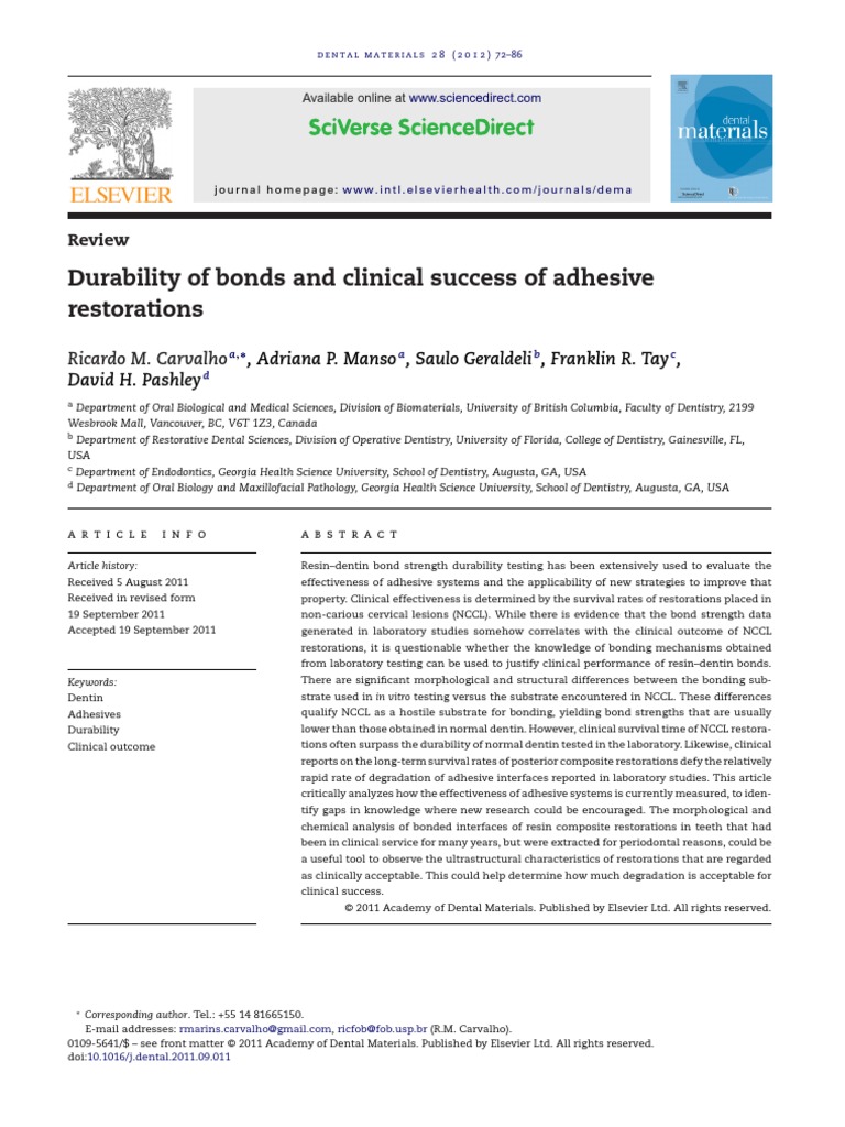 Durability of Bonds and Clinical Success of Adhesive Restorations | PDF ...