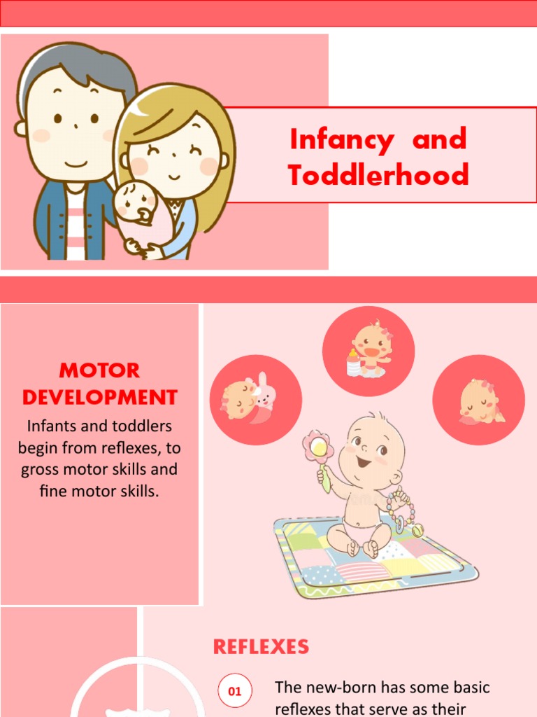 Infancy and Toddlerhood | PDF | Temperament | Attachment Theory