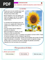La Semilla Compresion Lectora | PDF