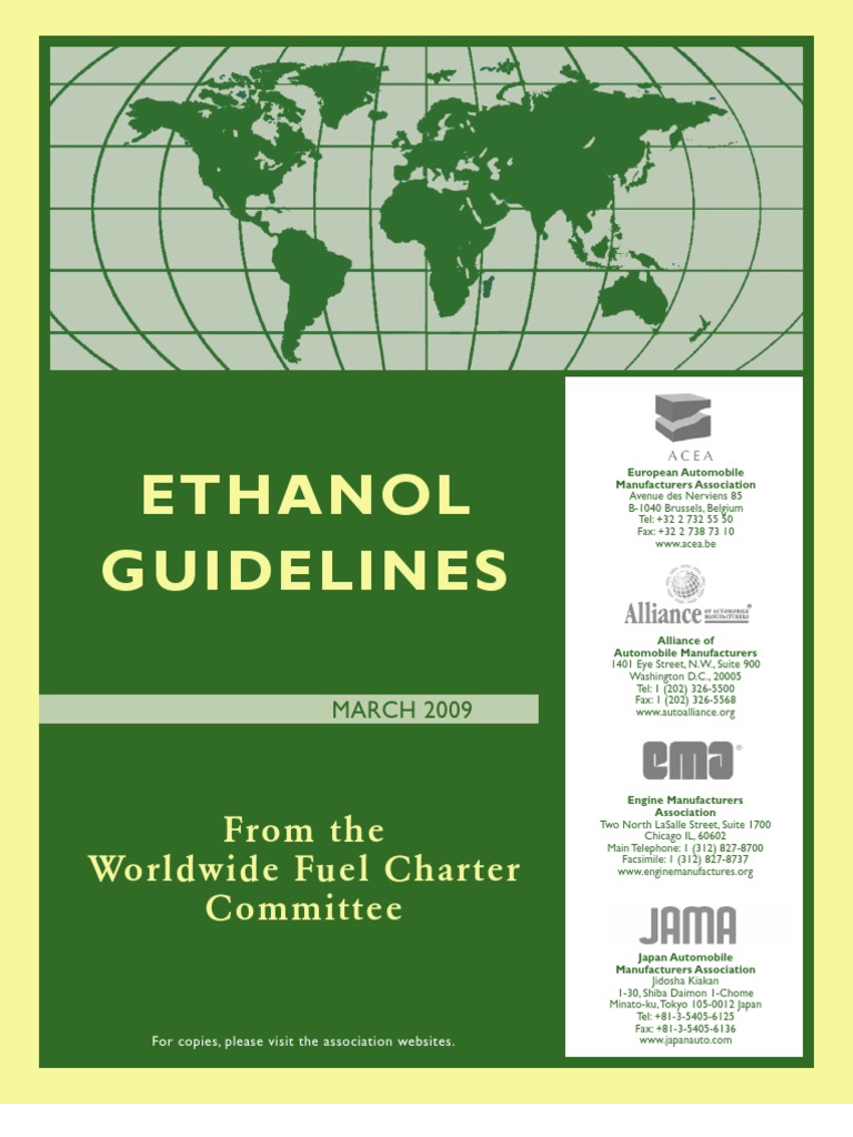 E100 Guideline | PDF | Gasoline | Ethanol