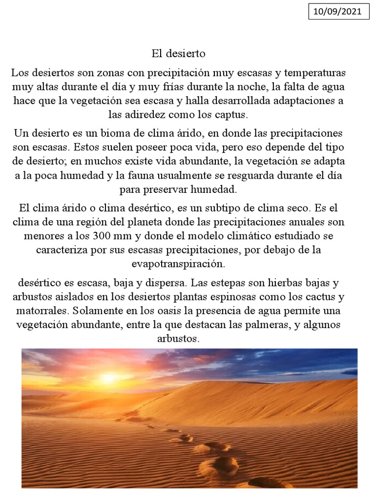 El Desierto Infografia | PDF