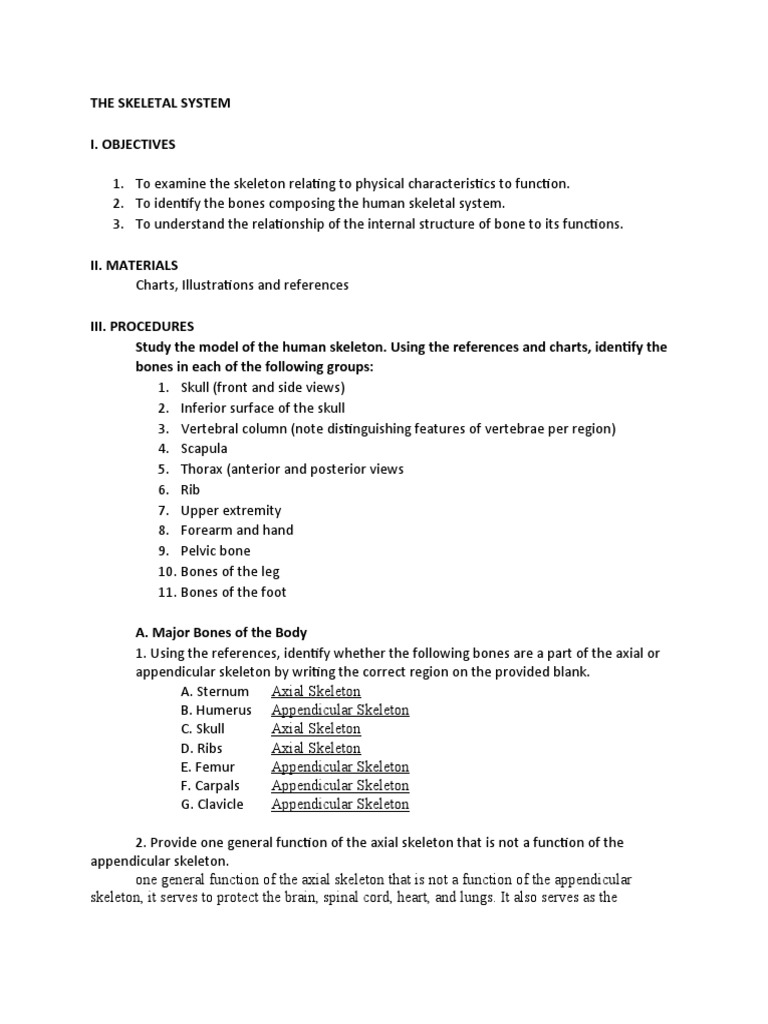 The Skeletal System | PDF | Skeleton | Bone