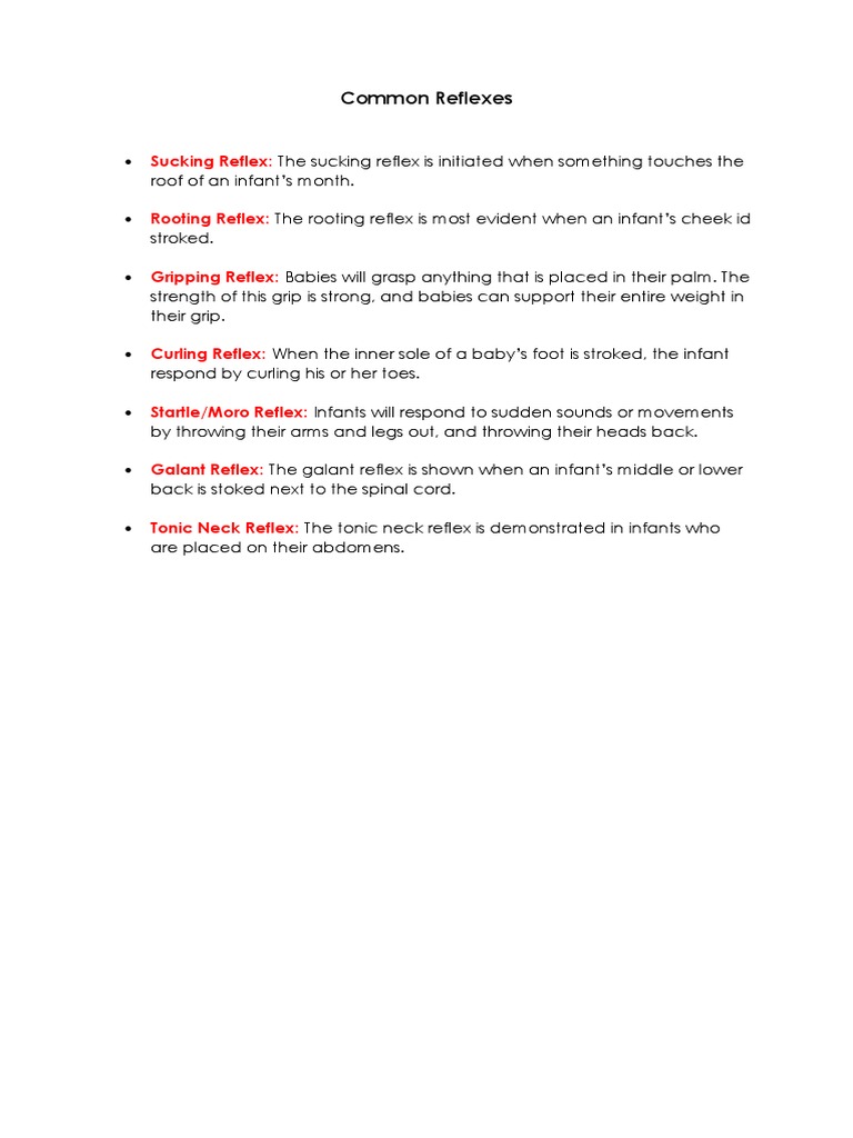 Common Reflexes | PDF