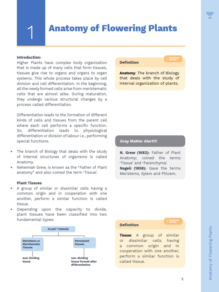 Anatomy of Flowering Plants Full Chapter Notes | PDF | Tissue (Biology ...