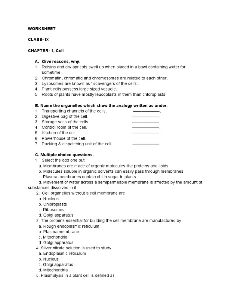 Worksheet Class-Ix CHAPTER - 1, Cell A. Give Reasons, Why | PDF | Cell ...