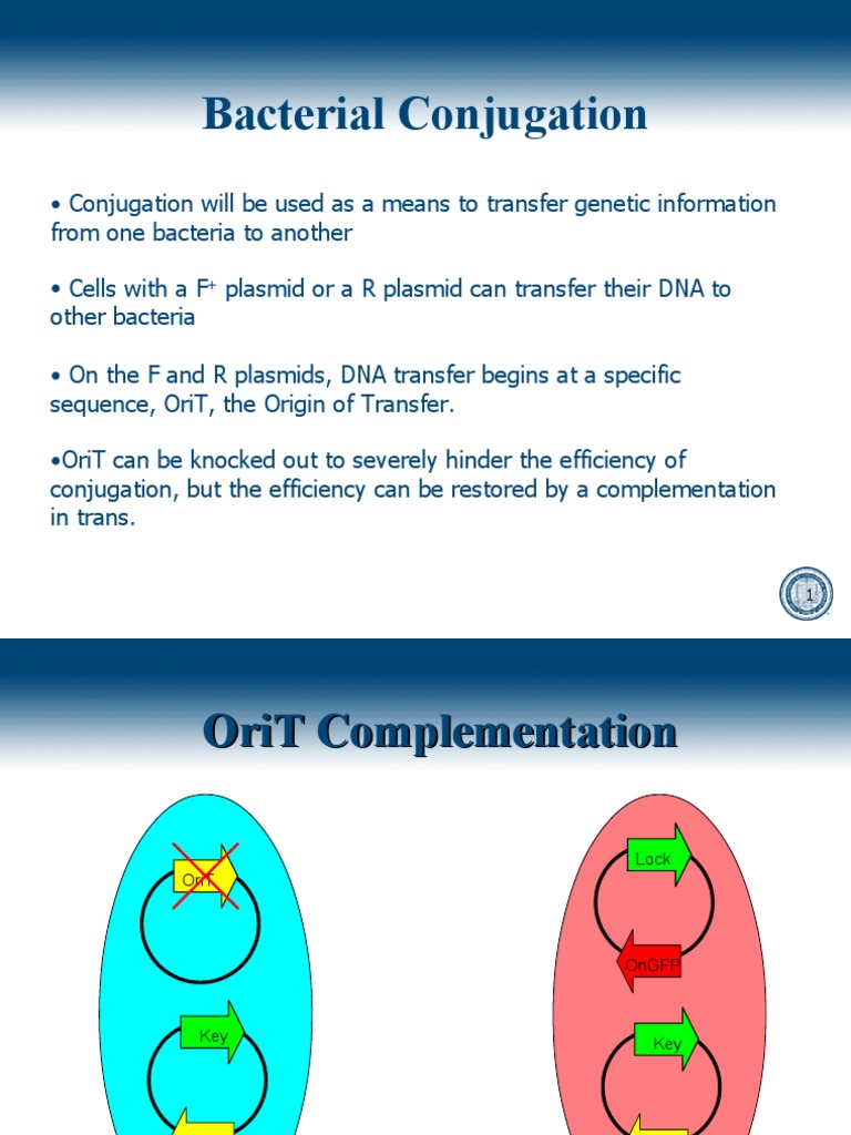 Conjugation Slides | PDF | Chemistry | Laboratory Techniques