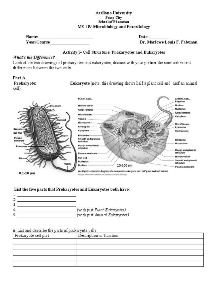 Eukaryotic Cell Structure Worksheet