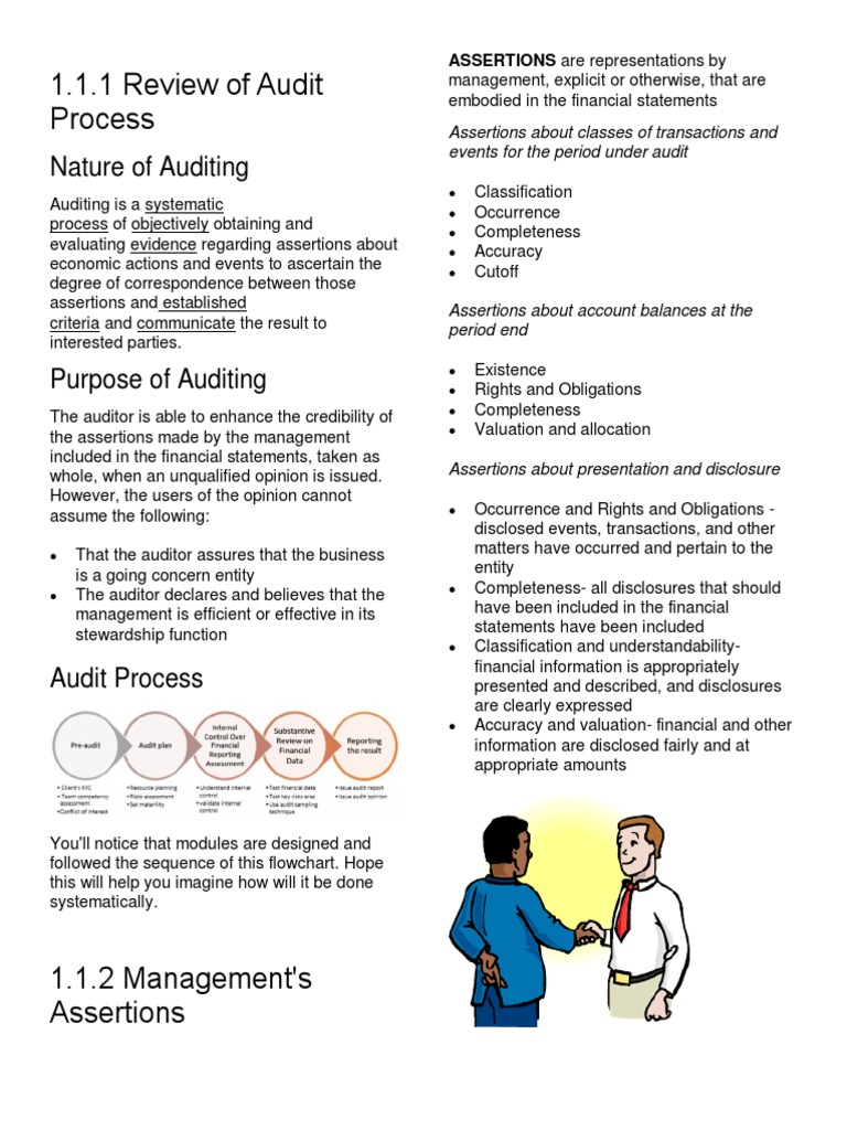 Audit Module 1 | PDF | Audit | Internal Control
