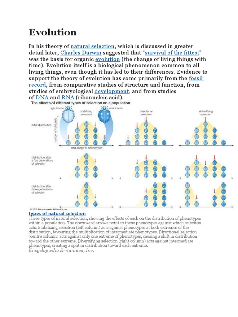 Evolution: Natural Selection Charles Darwin Survival of The Fittest ...