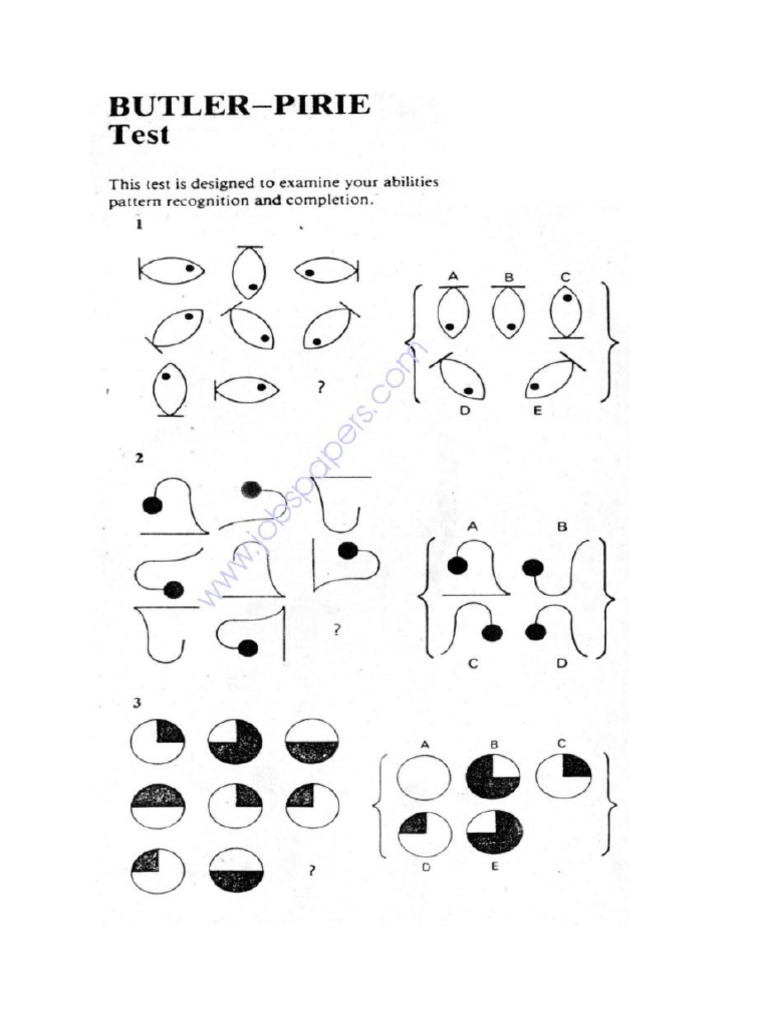 Butterfly Non Verbal With Answers-1-1 | PDF