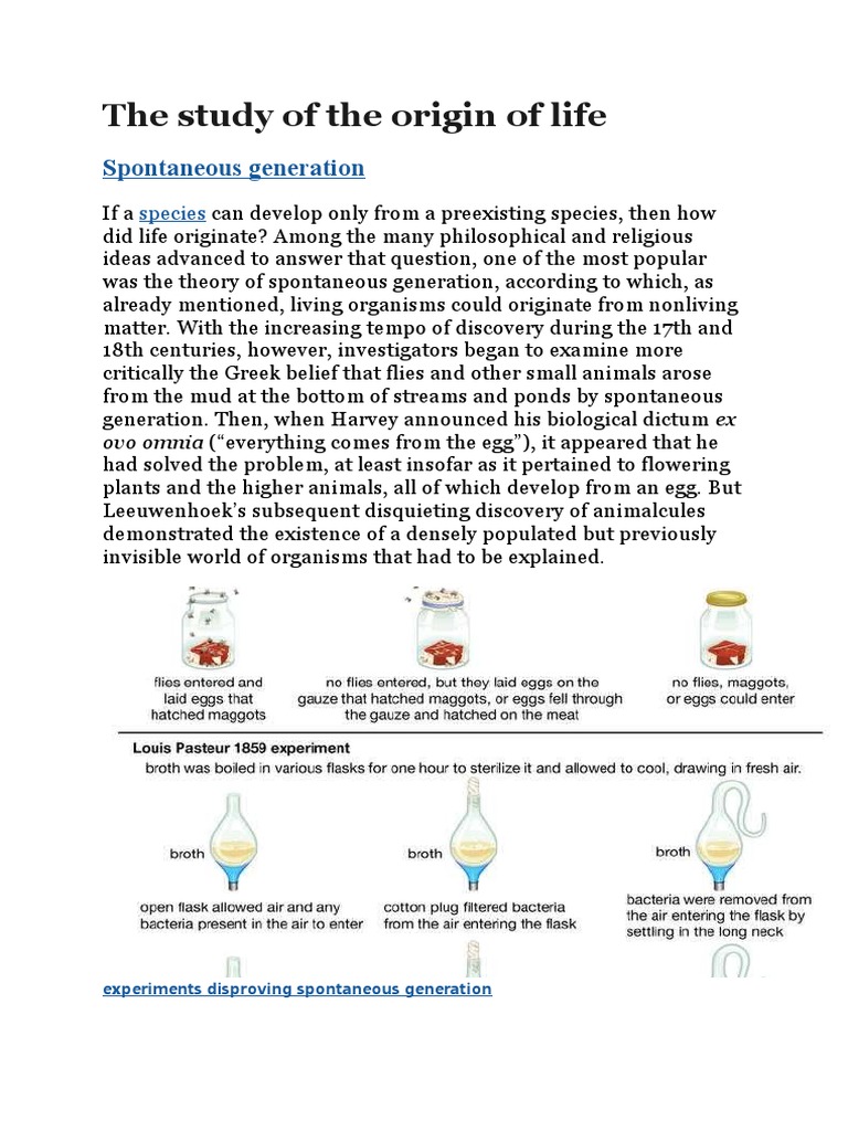 The Study of The Origin of Life | PDF | Nature | Observation