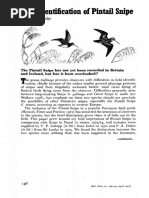 Bto Bird Species Codes | PDF