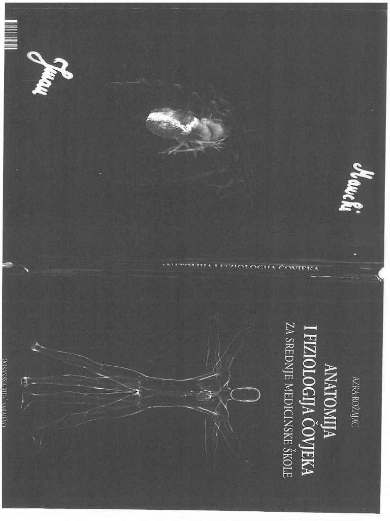 Anatomija I Fiziologija Covjeka | PDF