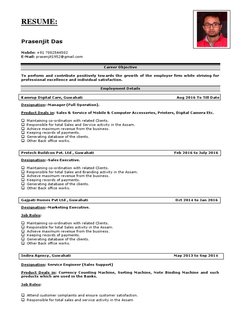 Resume Prasenjit | Download Free PDF | Revenue | Computing