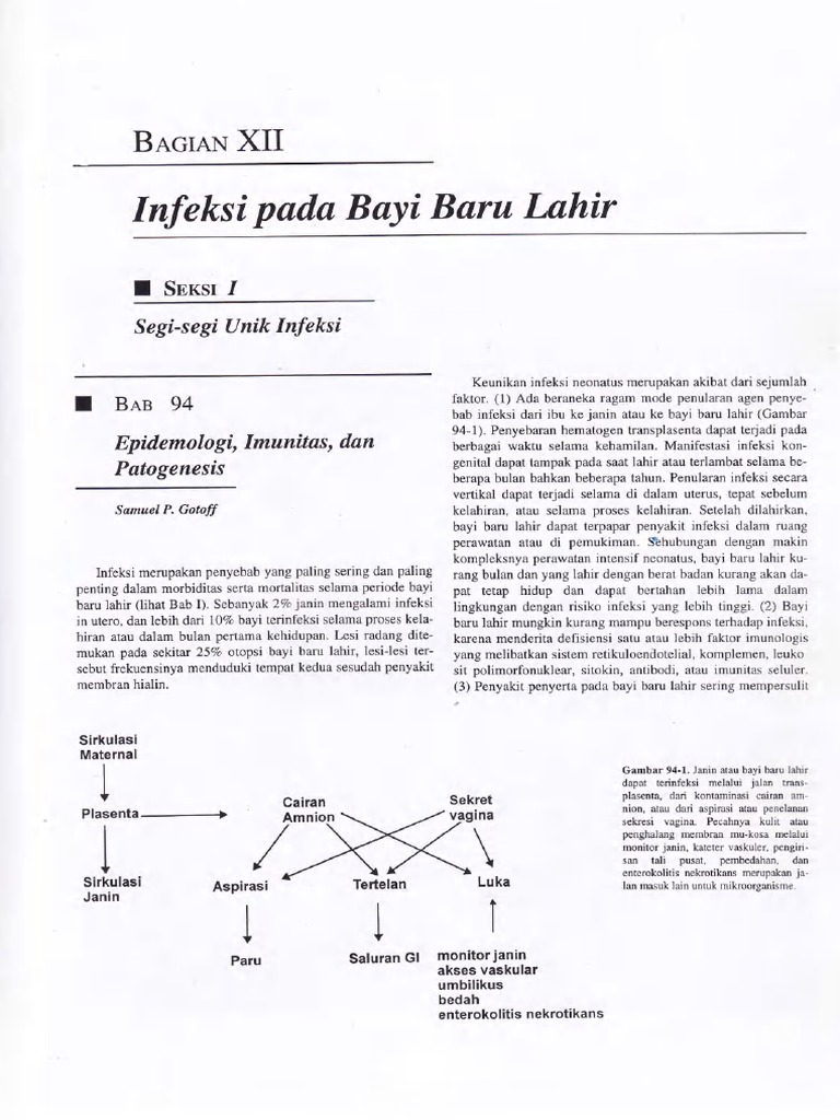Bagian XII Infeksi Pada Bayi | PDF