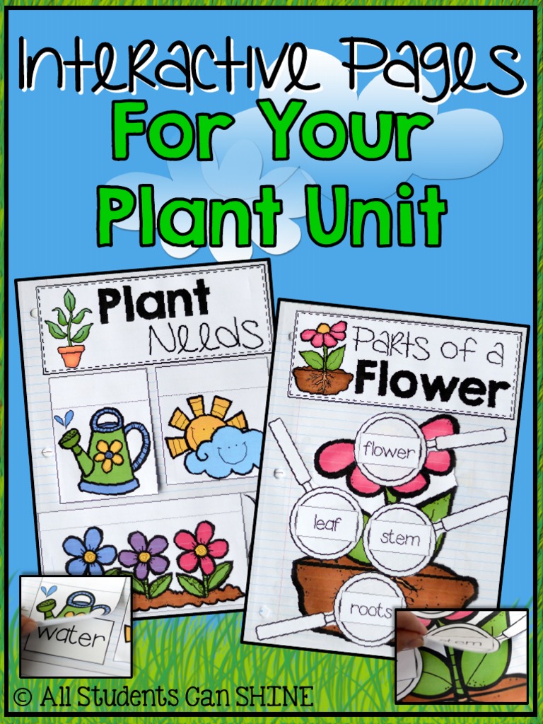 Interactive Notebook Pages For Your Plant Unit | PDF
