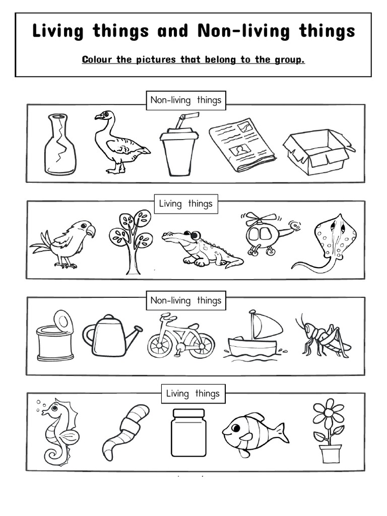 Colour - Living Things | PDF