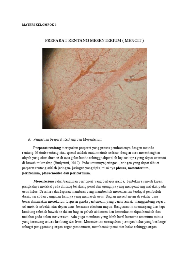 Kelompok 3 Preparat Rentang | PDF
