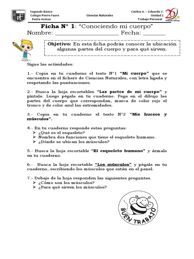 Fichas TP 1 Conociendo Mi Cuerpo | PDF