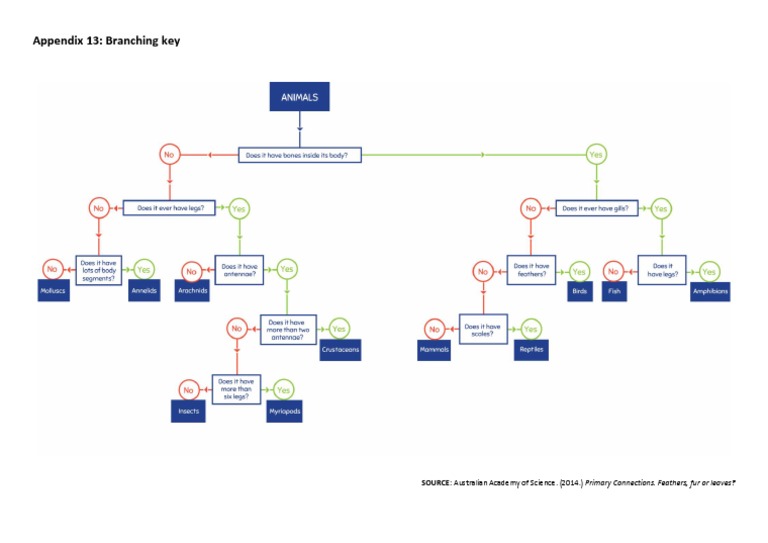 13 Branching Key Appendix 13 | PDF