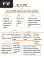 Escala de Tanner: Guía de Pubertad | PDF