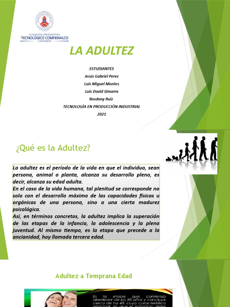 Diapositiva de La Adultez | PDF | Adultos | Vejez