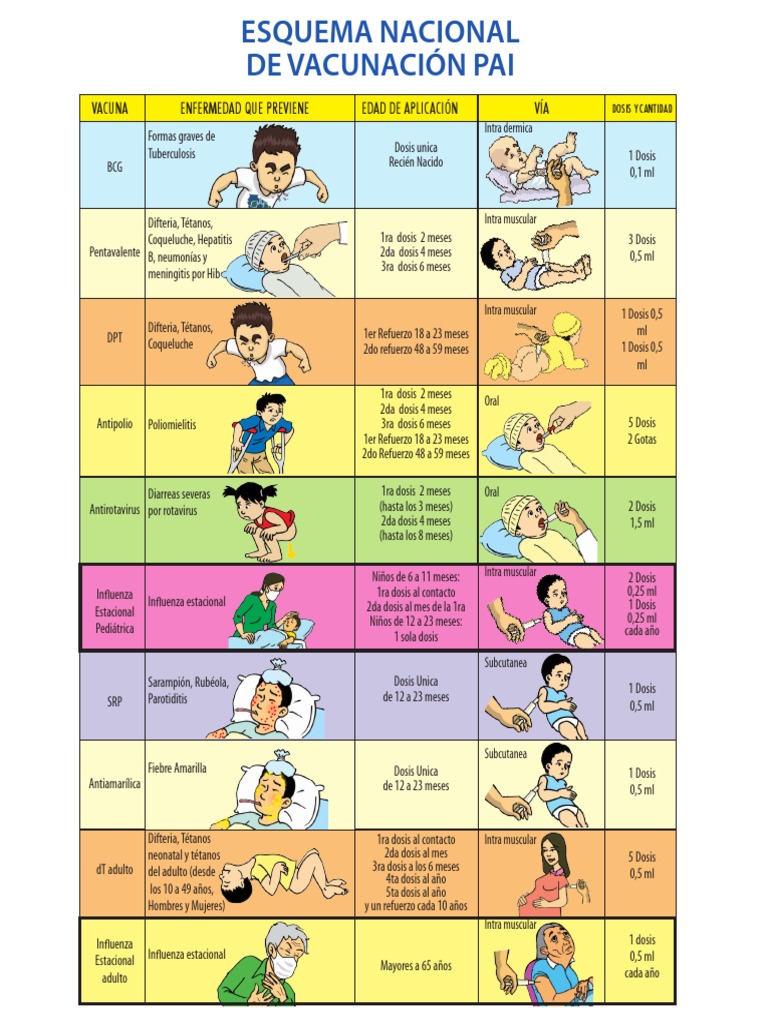 Esquema PAI | PDF | Especialidades Medicas | Enfermedades y trastornos