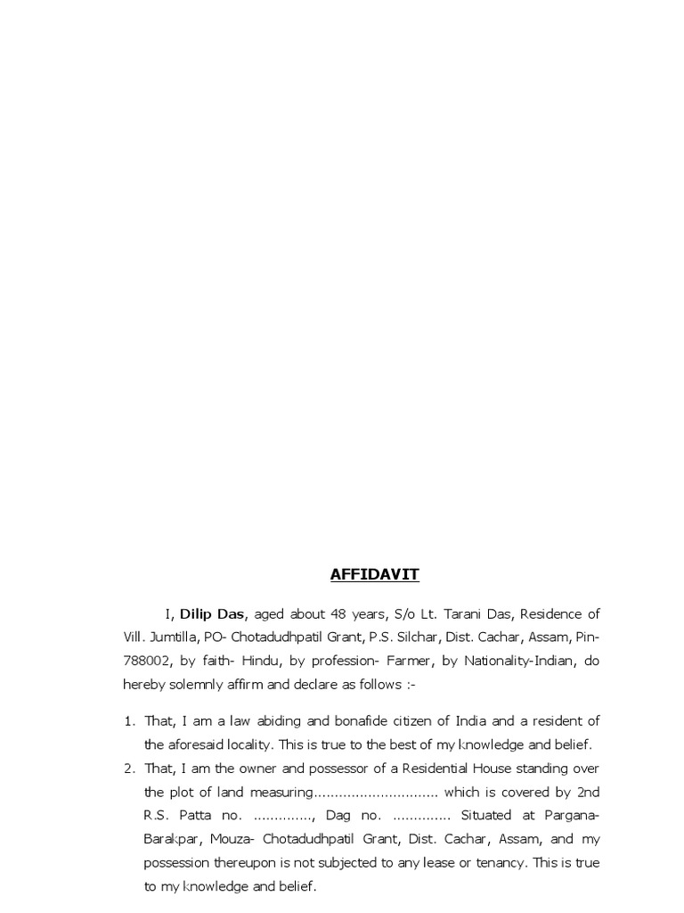 AFFIDAVIT Electricity Connection For Dlip Das Jumtilla | PDF ...