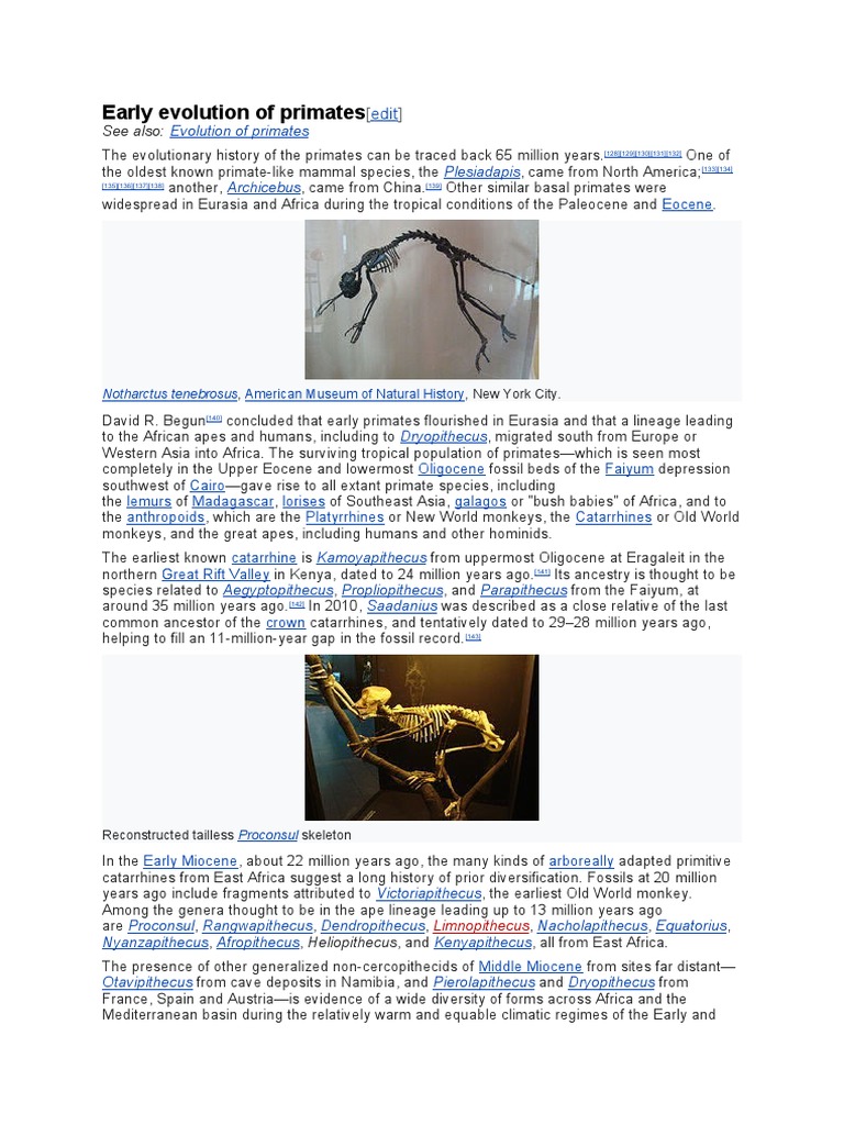 Primate Evolution Overview | PDF | Evolution Of Primates | Primate Taxonomy