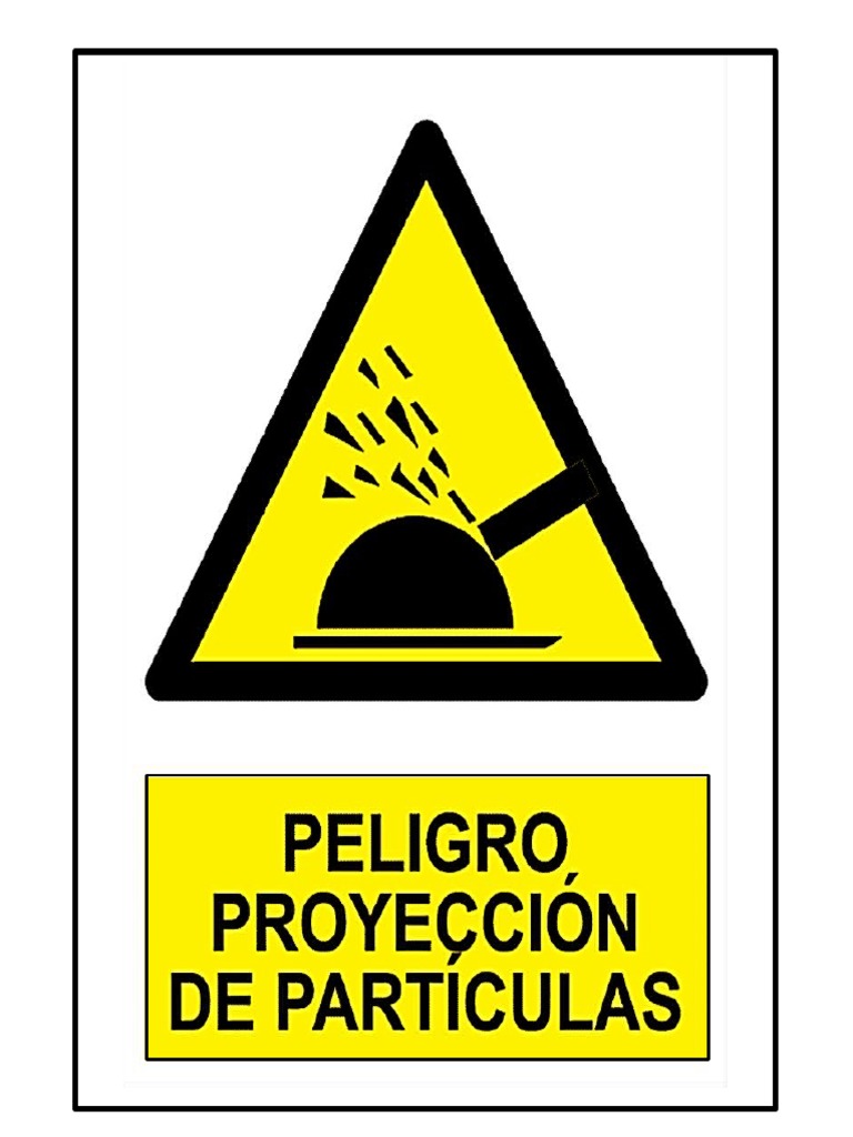 Advertencia Proyeccion de Particulas | PDF