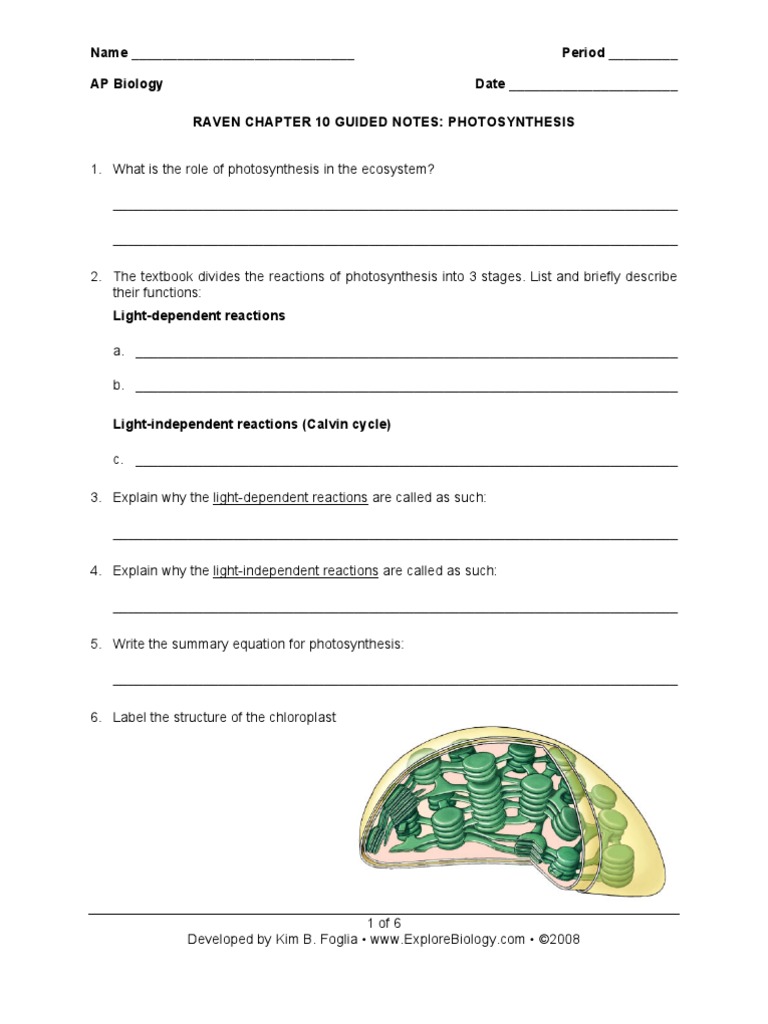 Photosynthesis | PDF | Photosynthesis | Chlorophyll