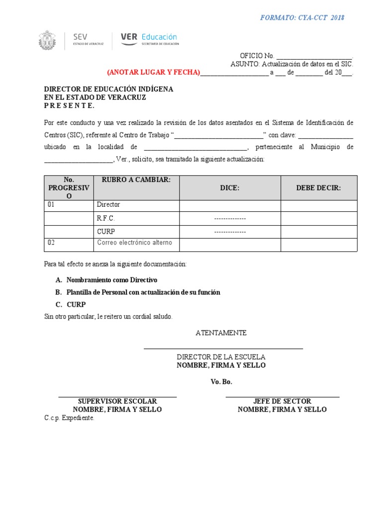 Formato Cya-Cct 2018 | PDF